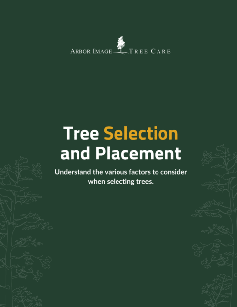 Download a Free Tree Manual | Arbor Image