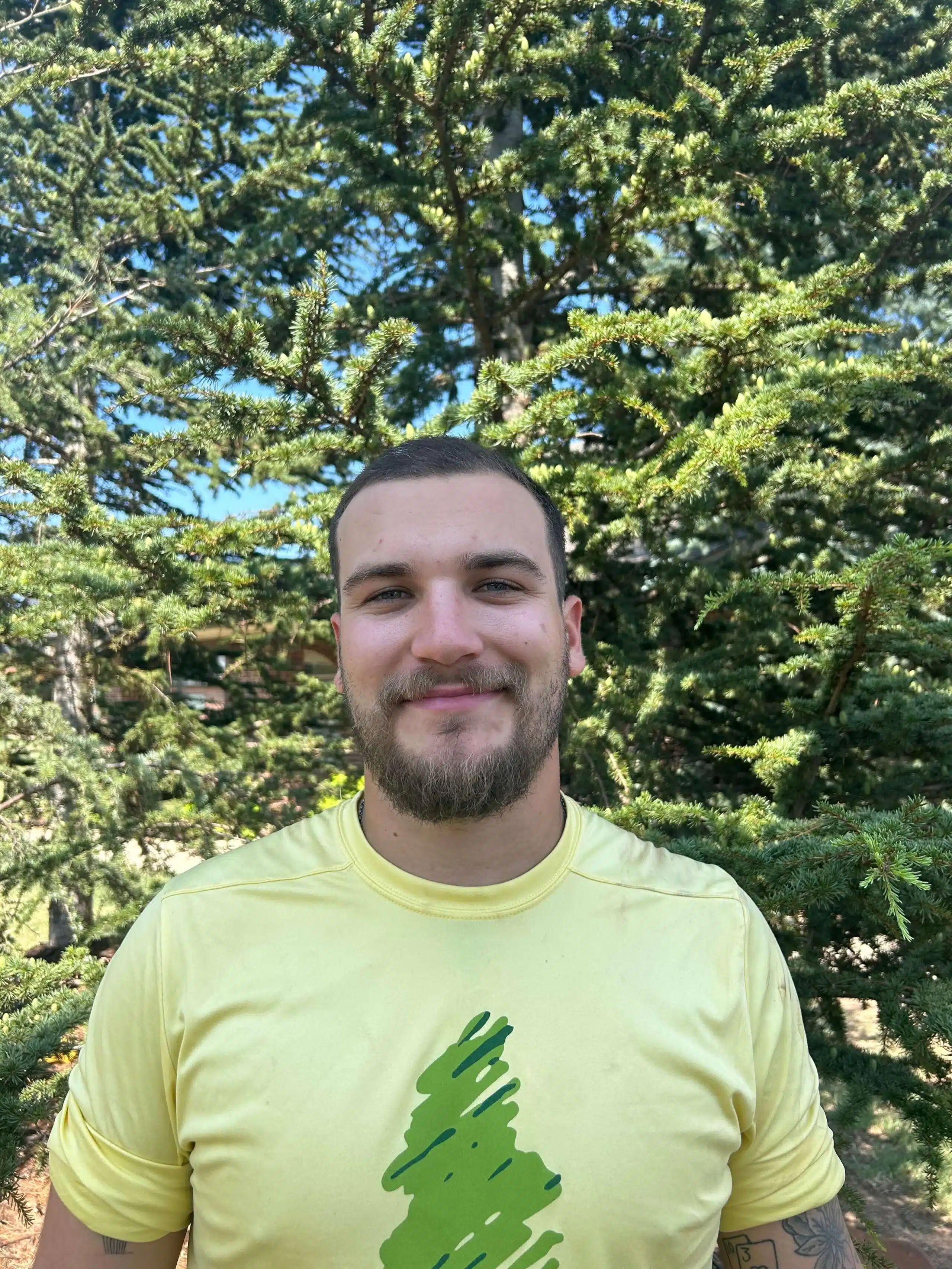 Meet Our Professional Tree Services Team | Arbor Image