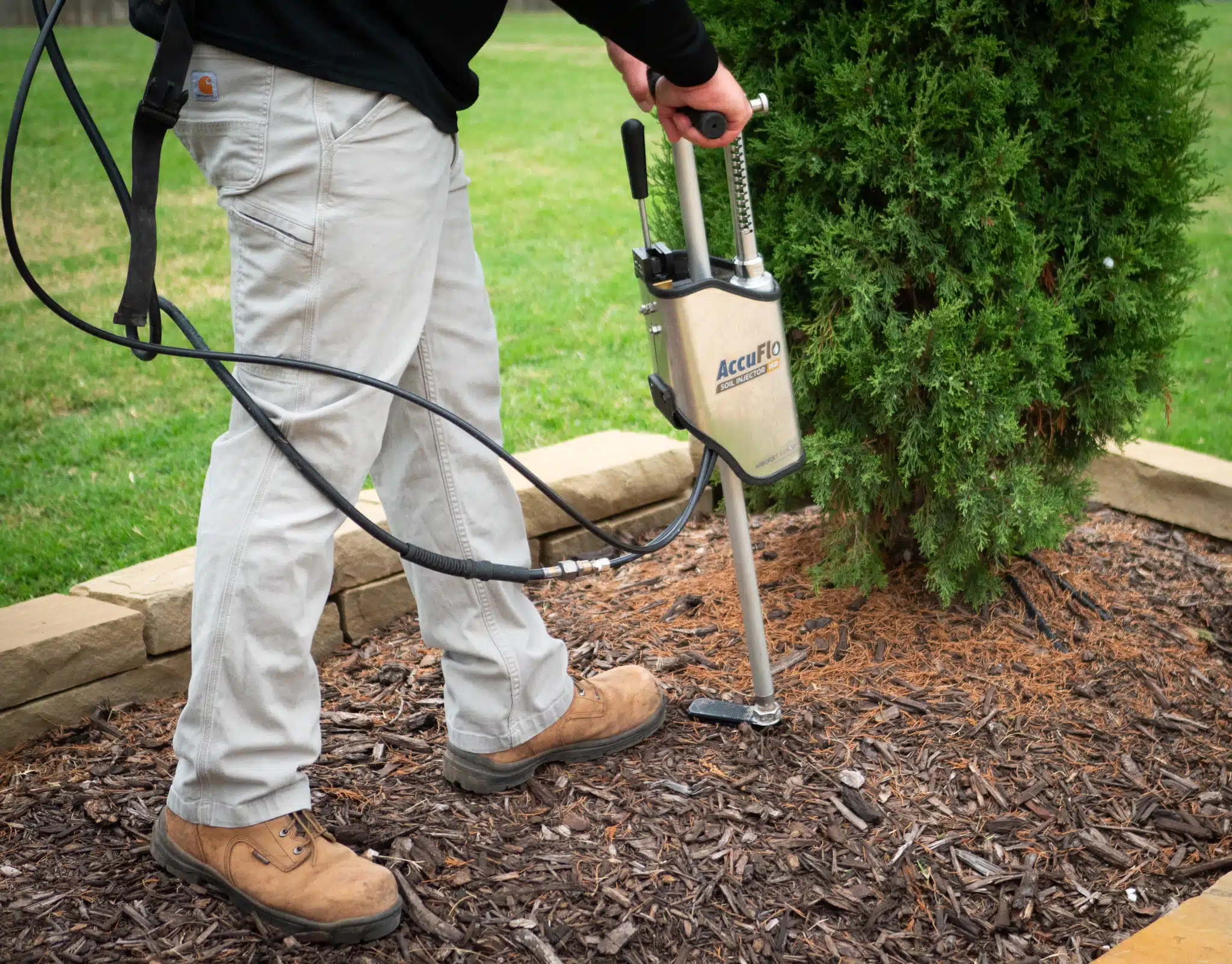 Tree Health and Nutrition Services in Oklahoma | Arbor Image